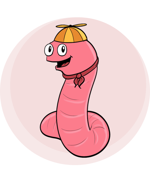 Ping the Spider - About